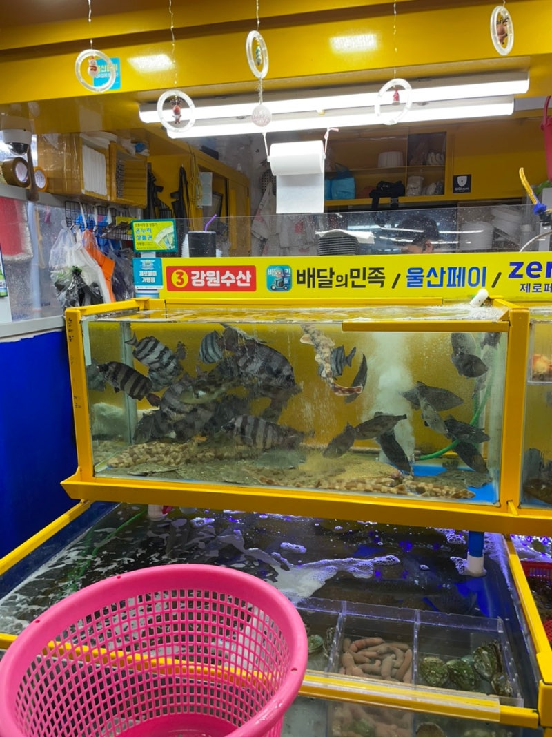 울산맛집 울산 수암시장 회센터 초장집 강원수산통영수산수로횟집새청년초장대추나무 이용꿀팁 내돈내산 솔직후기 네이버 블로그