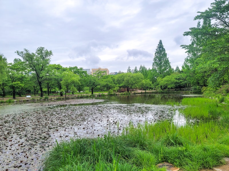 산책하기 좋은 5월 오산물향기수목원 입장료 주차비 산책코스 도시락 네이버 블로그