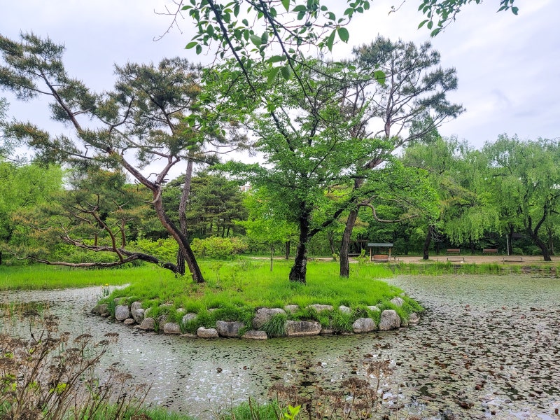 산책하기 좋은 5월 오산물향기수목원 입장료 주차비 산책코스 도시락 네이버 블로그