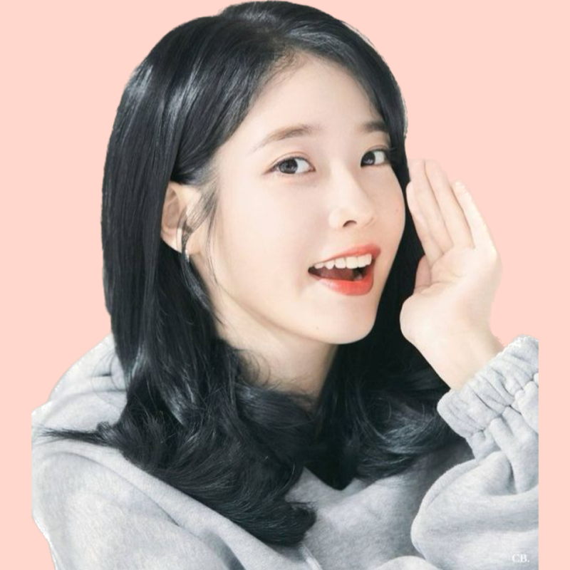 여자 중단발머리 C컬 S컬 펌 웨이브펌 빌드펌 레이어드컷 허쉬컷 아이유 사쿠라 헤어스타일 : 네이버 블로그