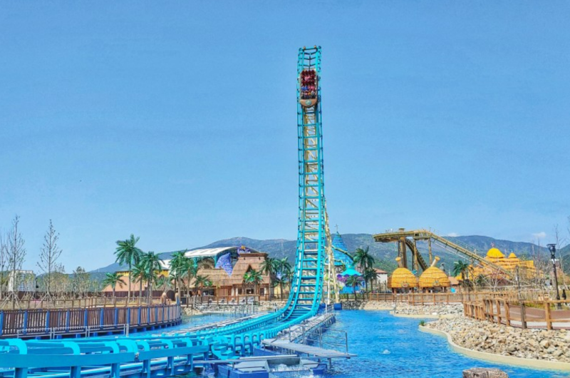 저는 놀 때도 청개구리처럼 놉니다 : 네이버 블로그