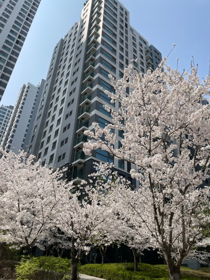 반포동 아파트 임장 3아크로리버파크 반포센트럴자이 신반포2차 아크로리버뷰 어딜 가도 최고🙊 네이버 블로그
