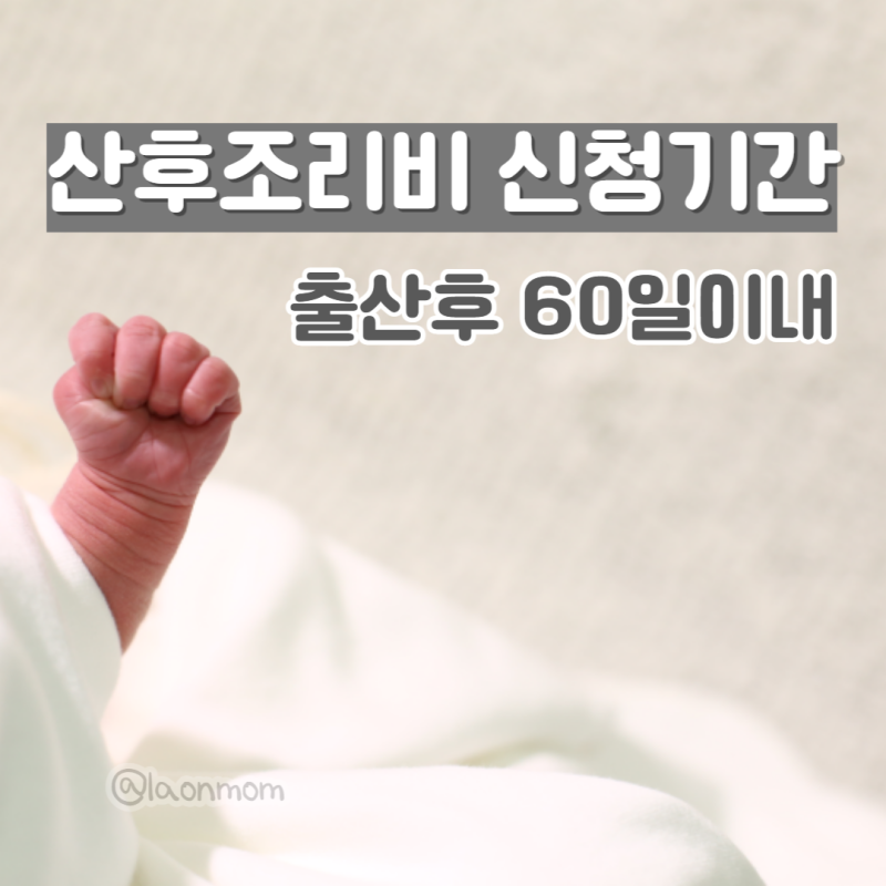 서울시 산후조리비 지원 100만원 신청대상 임산부 지원금 신청기간 네이버 블로그