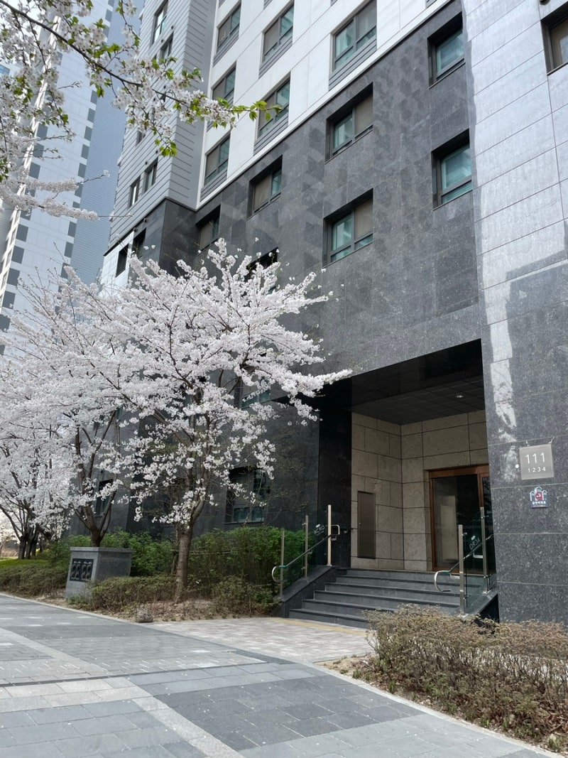 반포동 아파트 임장 3아크로리버파크 반포센트럴자이 신반포2차 아크로리버뷰 어딜 가도 최고🙊 네이버 블로그