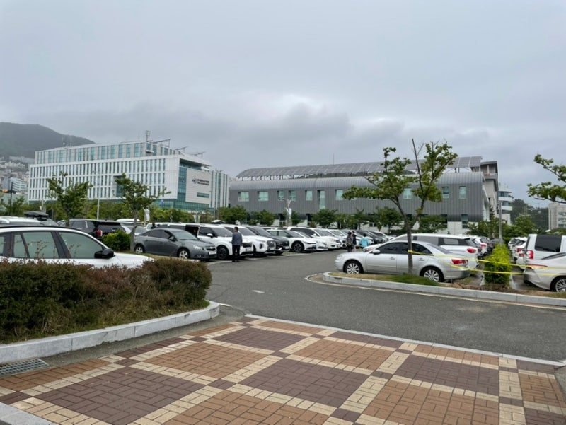 부산 아기랑 갈만한곳 비오는날에도 좋은 영도 국립해양박물관 돌아기랑 물고기구경 네이버 블로그
