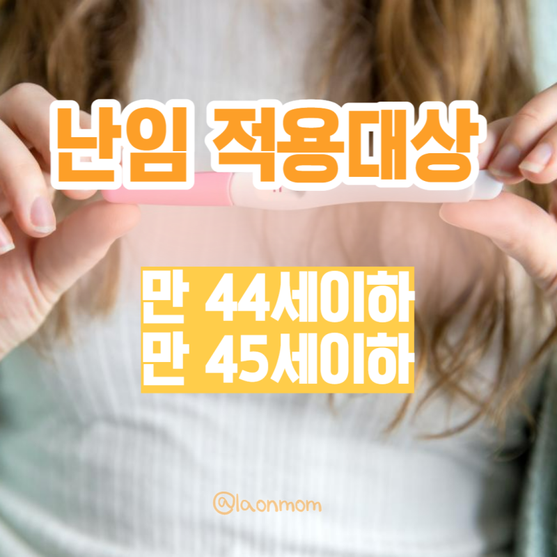 난임부부 시술비 지원 임신준비 지원금 지원대상 체외수정 인공수정 시술 네이버 블로그