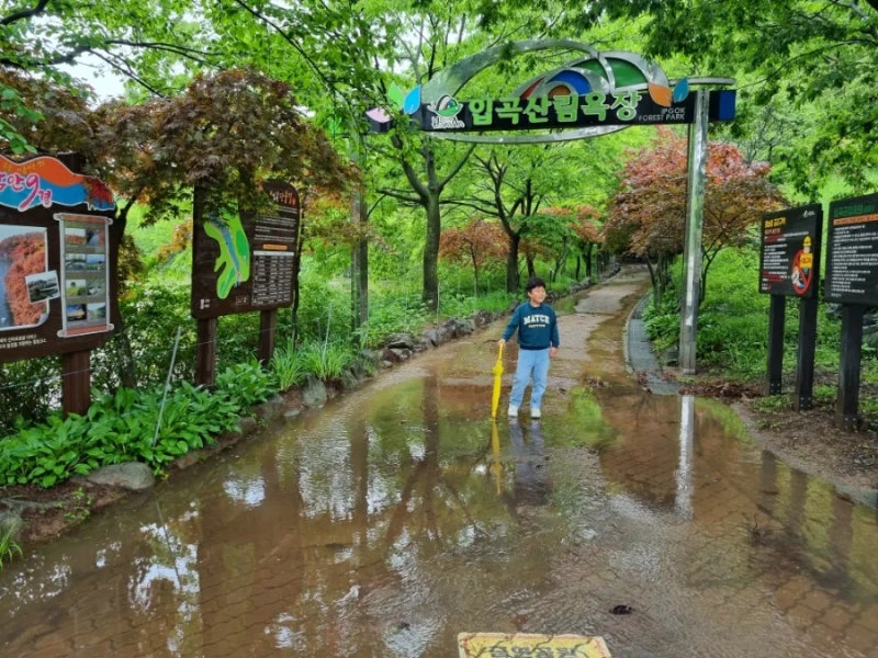함안 온새미로 오토캠핑장 네이버 블로그