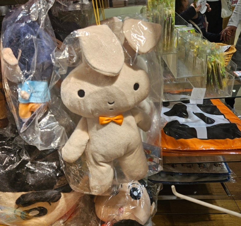 후쿠오카 텐진 파르코백화점 캐릭터 굿즈샵 키디랜드 치이카와 짱구샵 리락쿠마스토어 스누피타운 빌리지뱅가드 네이버 블로그