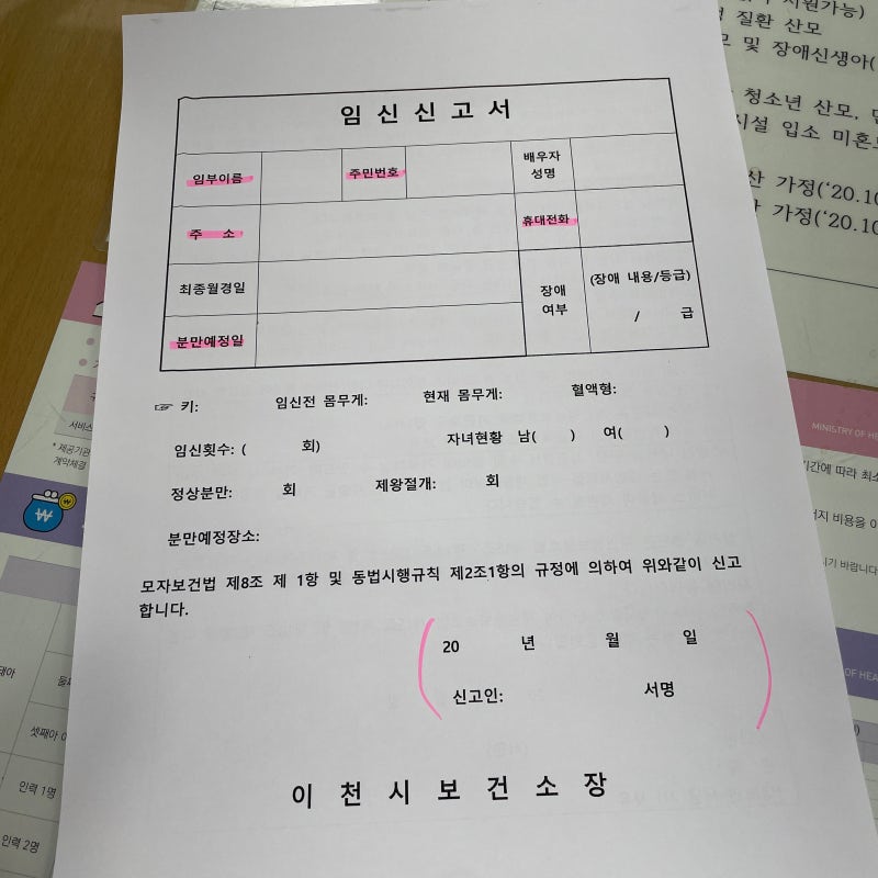 이천시 보건소 임산부 신고엽산제 철분제 임산부 자동차 표지 발급 무료 임산부 산전임신중 검사지원 네이버 블로그