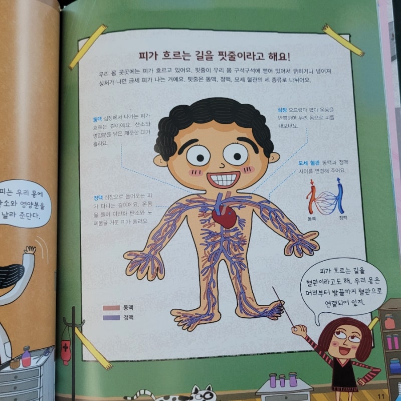 7세 예비초등전집 뒤집기시리즈 성우꼬마과학뒤집기 피의순환 네이버 블로그