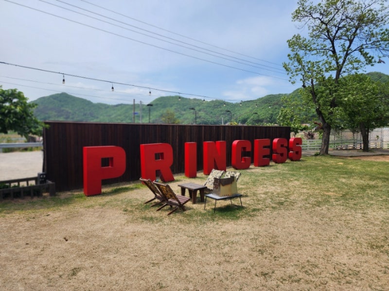 공주시 캠핑 컨셉 프린세스 피크닉카페 내돈내산 후기 네이버 블로그