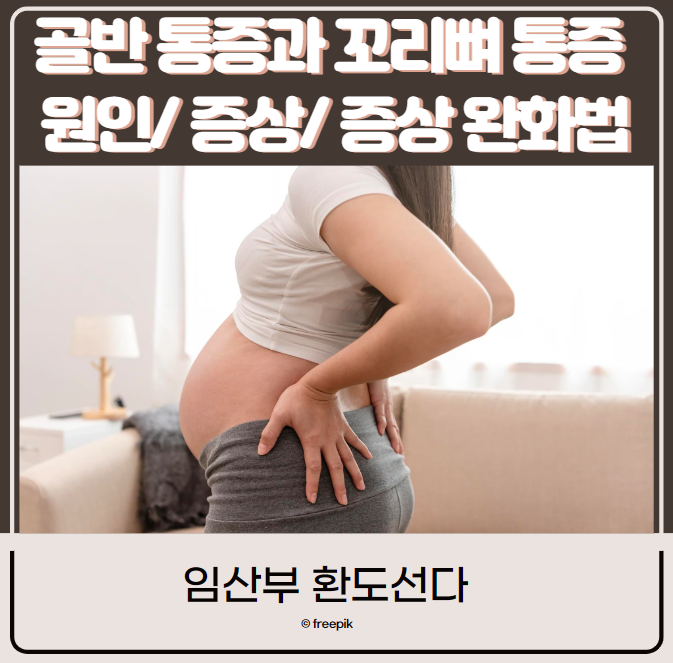 임산부 환도선다 골반 통증과 꼬리뼈 통증 원인 증상 그리고 증상 완화를 위한 팁 네이버 블로그