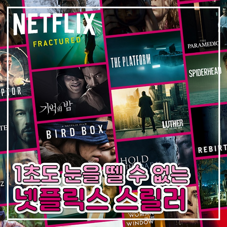 네이버 인플루언서