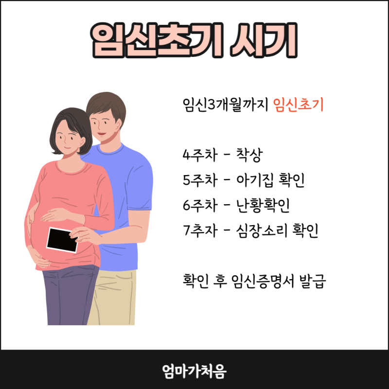 임신극초기증상 시기 아랫배통증 출혈 임신테스트기 음성 호르몬수치 네이버 블로그