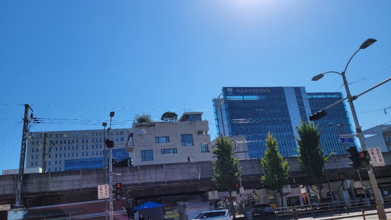 반려견 손해배상 소송 반려견으로 인하여 다친 경우 손해배상의 존재 및 범위에 대한 판결 네이버 블로그