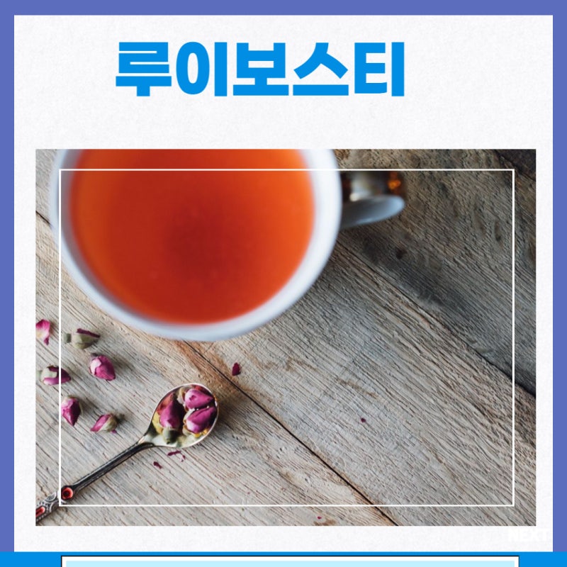 루이보스티 효능 부작용 루이보스차 네이버 블로그
