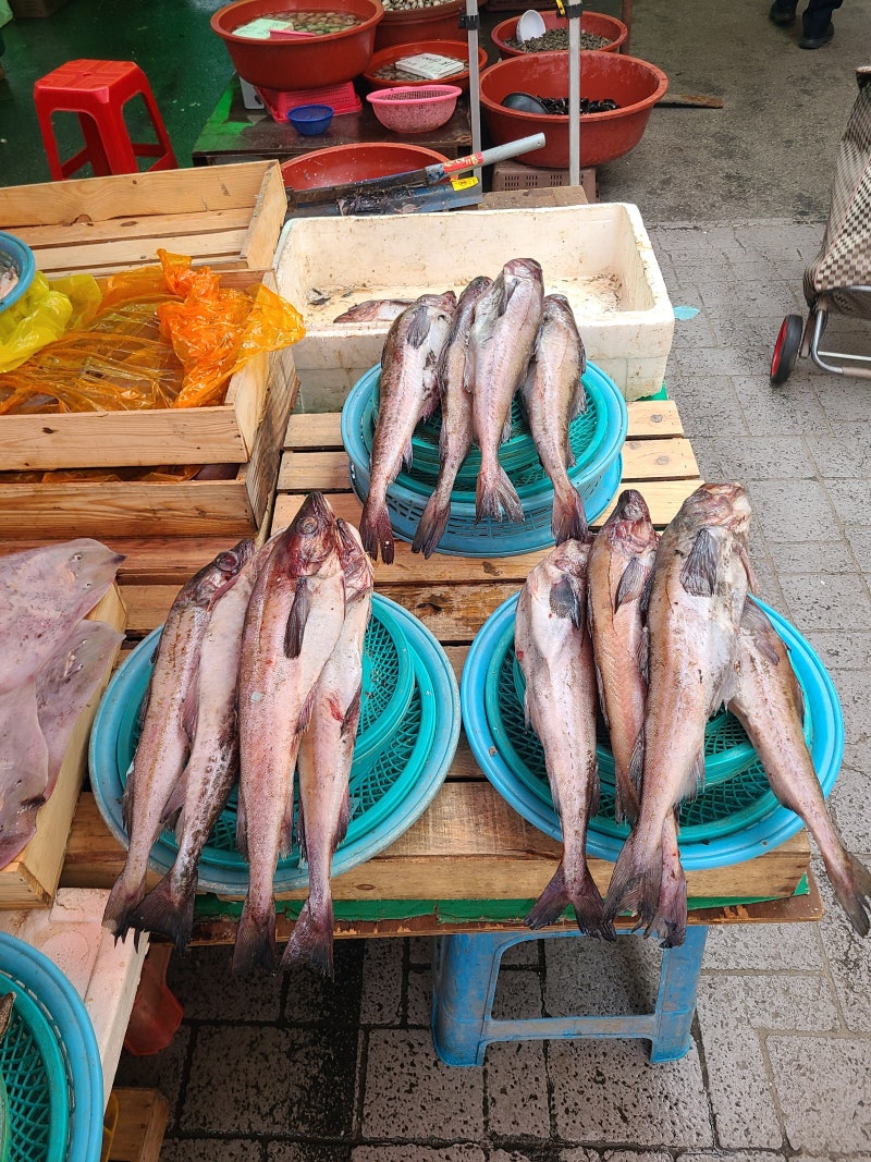 광주 볼거리 먹거리가 다양한 송정매일시장송정오일장 송정5일시장 네이버 블로그
