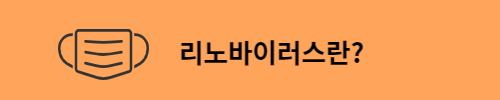 리노바이러스라이노바이러스 주의보 증상 전염 치료 성인 및 유아까지 네이버 블로그