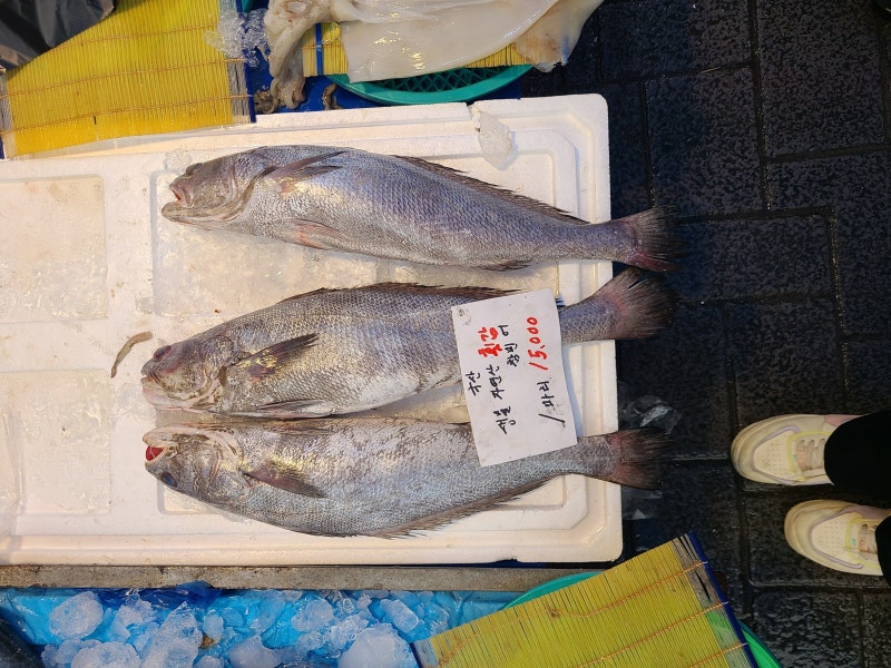 광주 볼거리 먹거리가 다양한 송정매일시장송정오일장 송정5일시장 네이버 블로그