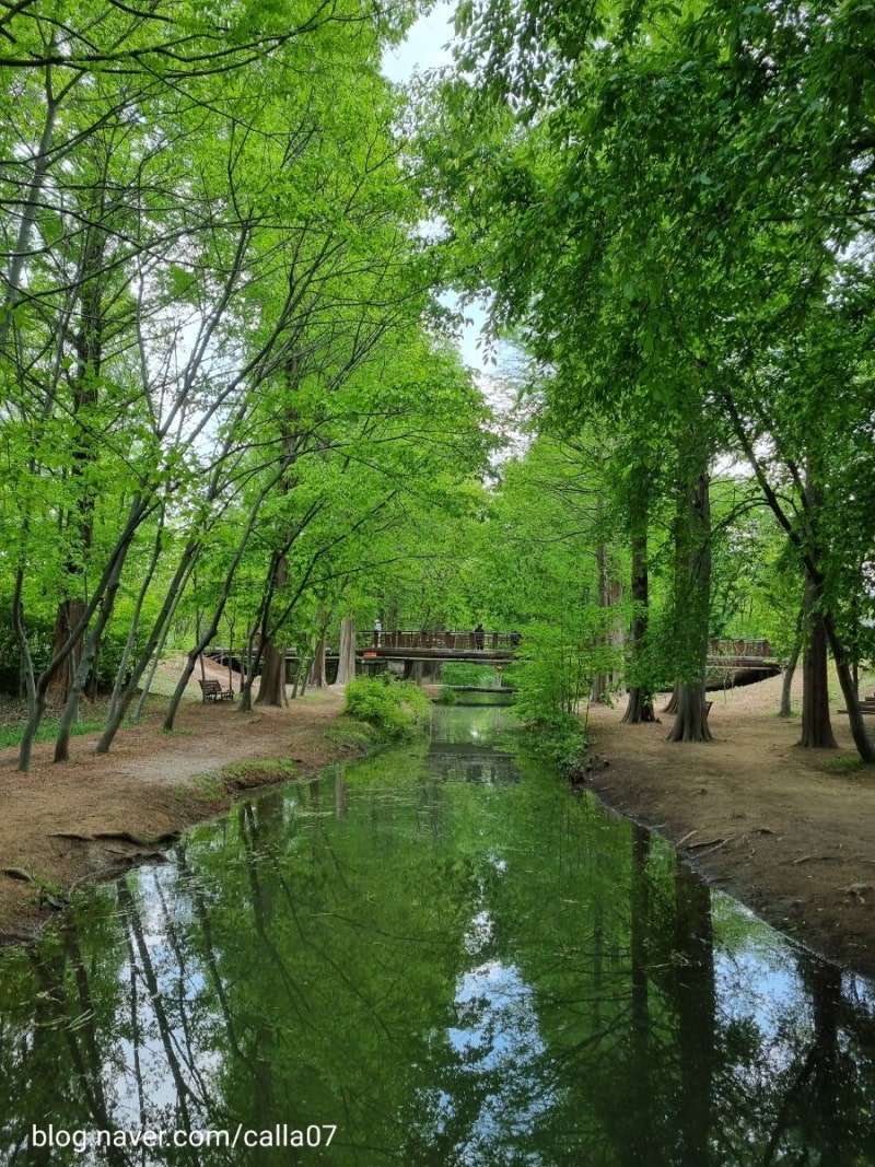 경주 여행 경북천년숲정원 외나무다리 포토존 네이버 블로그