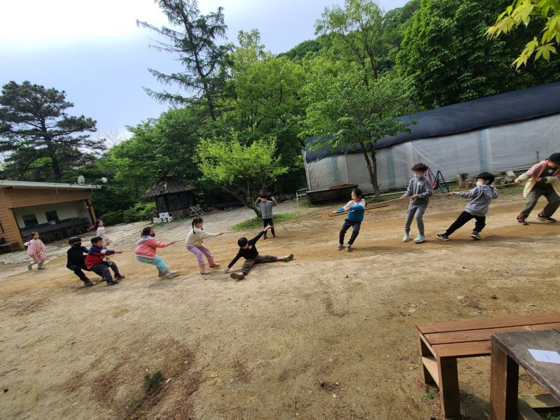 우리들자연학교 5월 1주차 일요일 별꽃샘노을샘반 수업 후기 네이버 블로그
