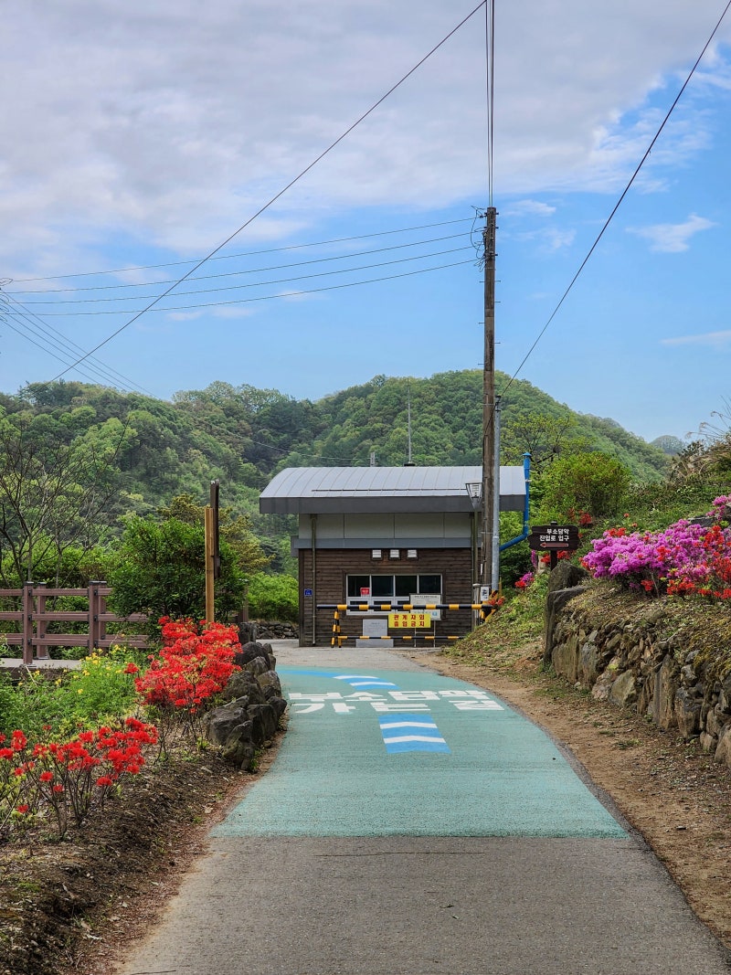 충북 옥천 부소담악 대청호 가볼만한곳 둘레길 산책 네이버 블로그
