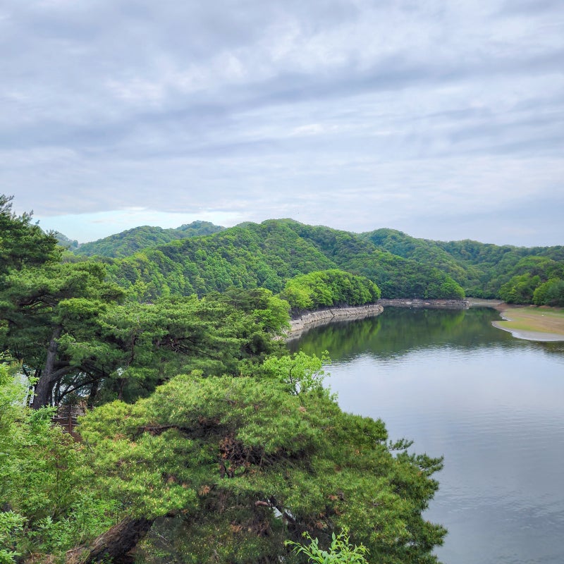충북 옥천 부소담악 대청호 가볼만한곳 둘레길 산책 네이버 블로그