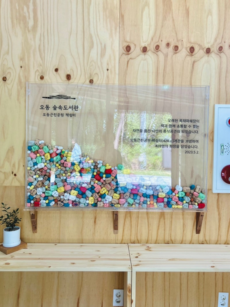 성북구 아기랑 오동숲속도서관 주차 가는길 오동근린공원 네이버 블로그