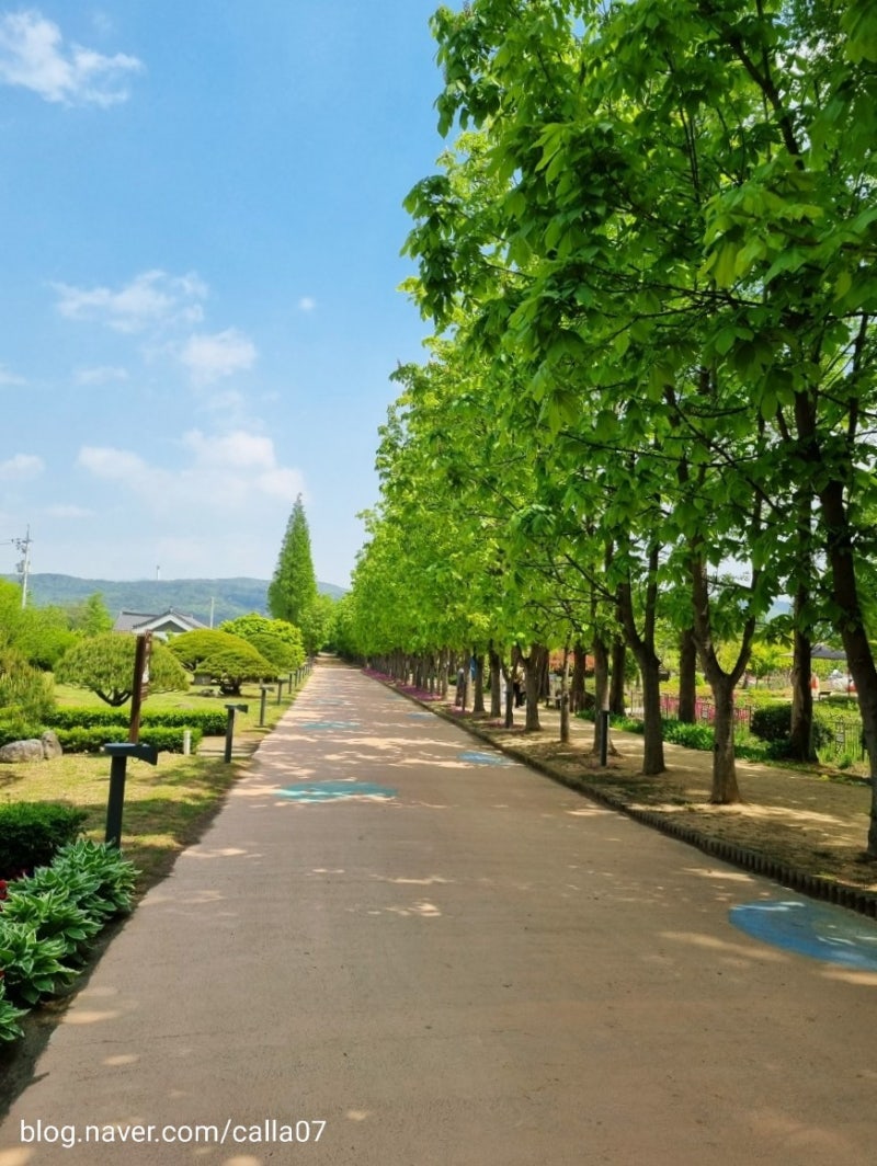 경주 여행 경북천년숲정원 외나무다리 포토존 네이버 블로그