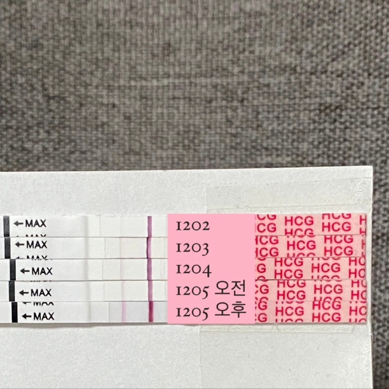 임신 0~4주차 초기증상 임테기 역전 Hcg 피검사수치 더블링 아기집 난황 초음파 확인 네이버 블로그