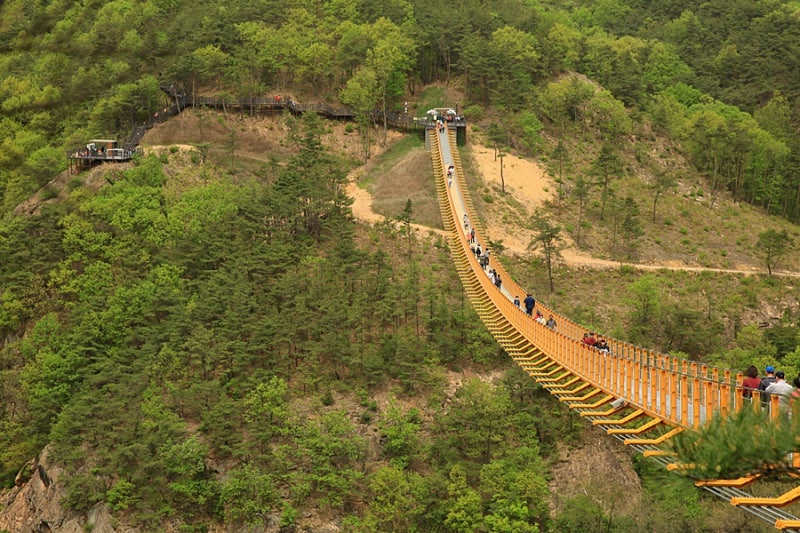 금산 월영산 출렁다리 네이버 블로그