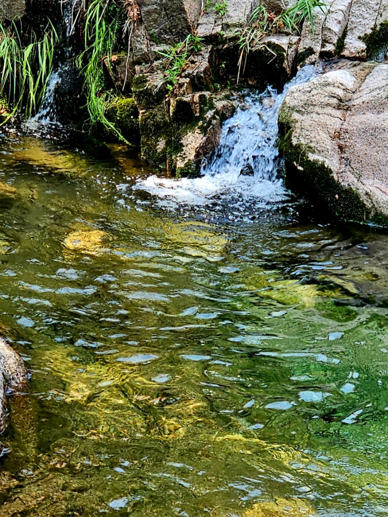 5월 청록의 북한산 자락을 찾아서... : 네이버 블로그