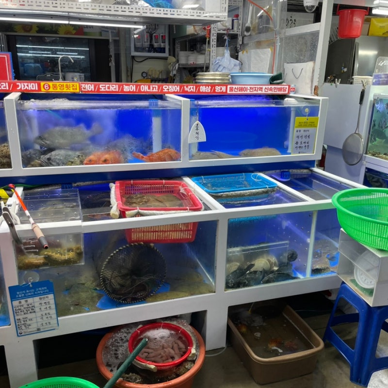울산맛집 울산 수암시장 회센터 초장집 강원수산통영수산수로횟집새청년초장대추나무 이용꿀팁 내돈내산 솔직후기 네이버 블로그