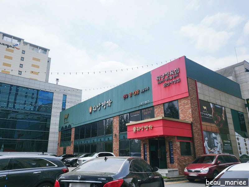 대전맛집 워낭명가 둔산시청점 얼갈이 갈비탕이 맛있는 대전시청 인근 한우 정육식당 내돈내산 네이버 블로그