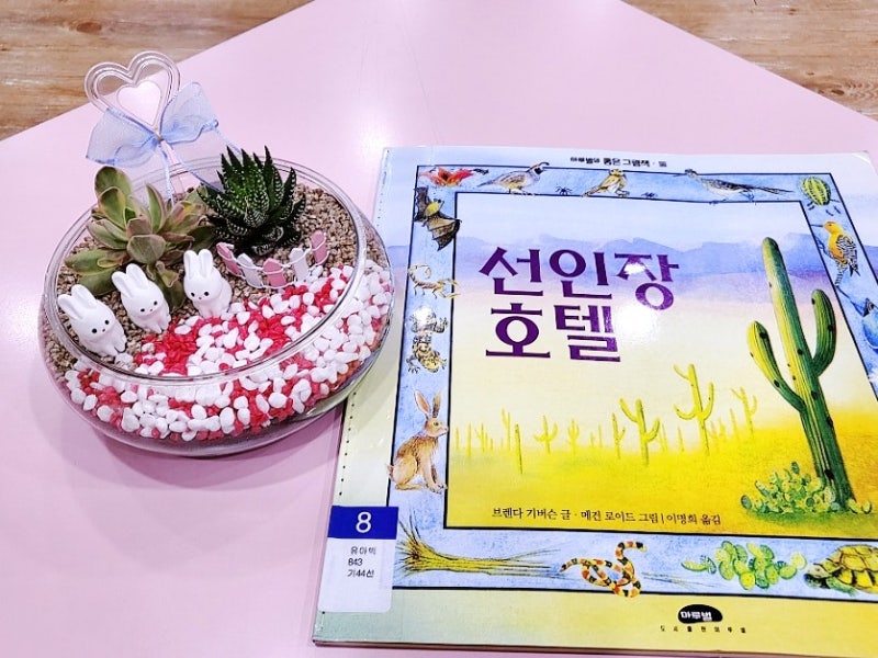그림책 선인장호텔과 함께하는 독서원예프로그램 다육테라리움 만들기 네이버 블로그
