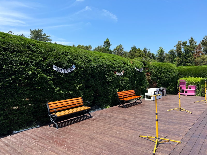 제주도 동쪽 아이랑 가볼 만한 곳 김녕미로공원and숲놀이터 네이버 블로그