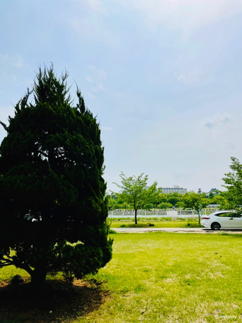 하남 가볼만한곳 서울근교피크닉차크닉 후기 ‘미사경정공원 조정경기장‘위치주차배달 네이버 블로그