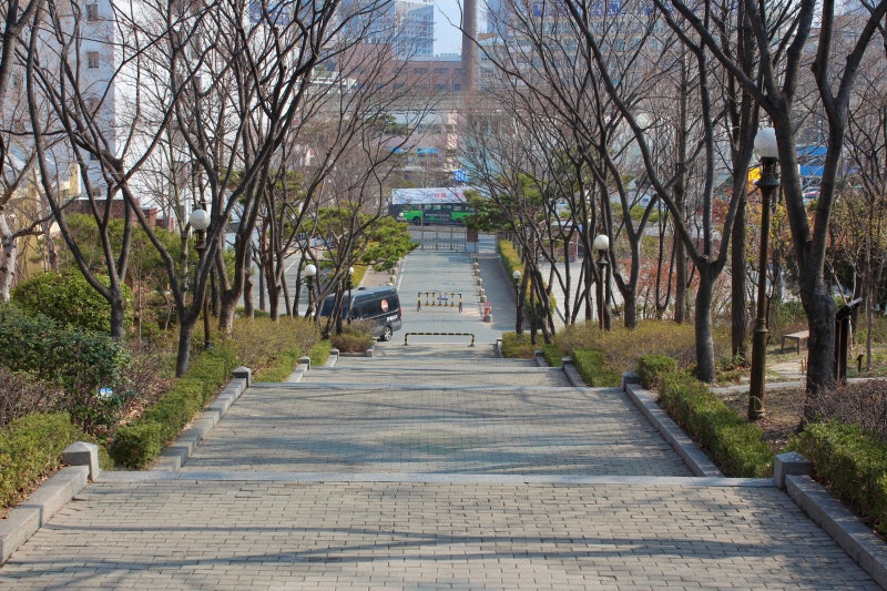 국내여행 대구 뉴진스 디토 뮤비 촬영지 계성중학교 포토존 주차장 네이버 블로그