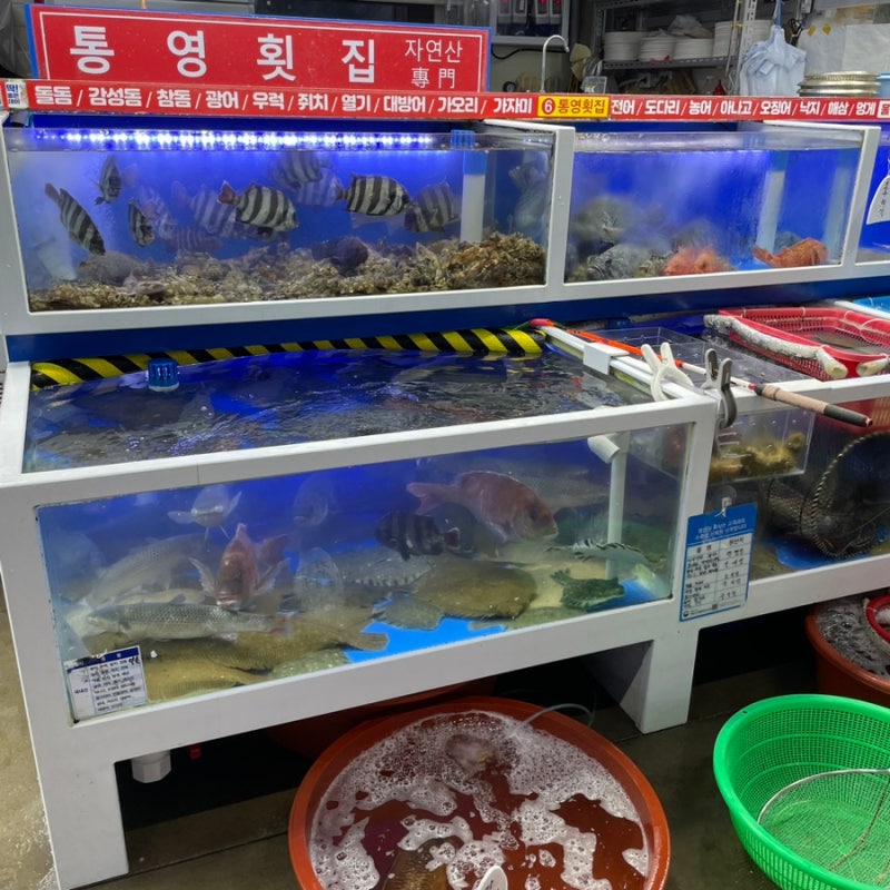 울산맛집 울산 수암시장 회센터 초장집 강원수산통영수산수로횟집새청년초장대추나무 이용꿀팁 내돈내산 솔직후기 네이버 블로그