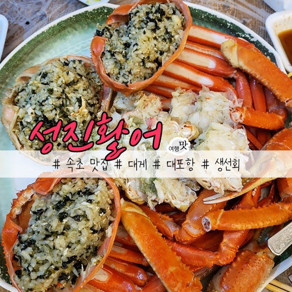 속초 대포동 횟집 성진활어 현지인이 추천하는 속초 맛집 네이버 블로그