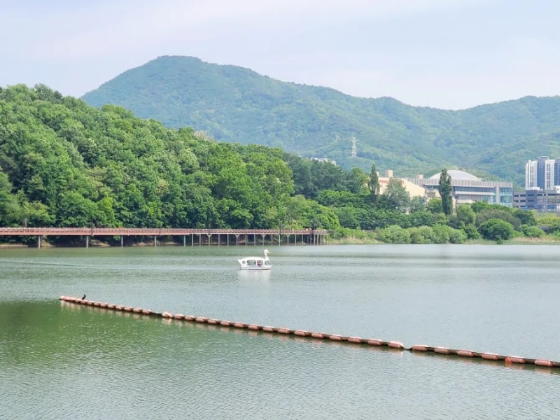 서울근교 가볼만한곳 경기도 의왕 백운호수 오리배 둘레길 걷기좋은 산책 길 네이버 블로그