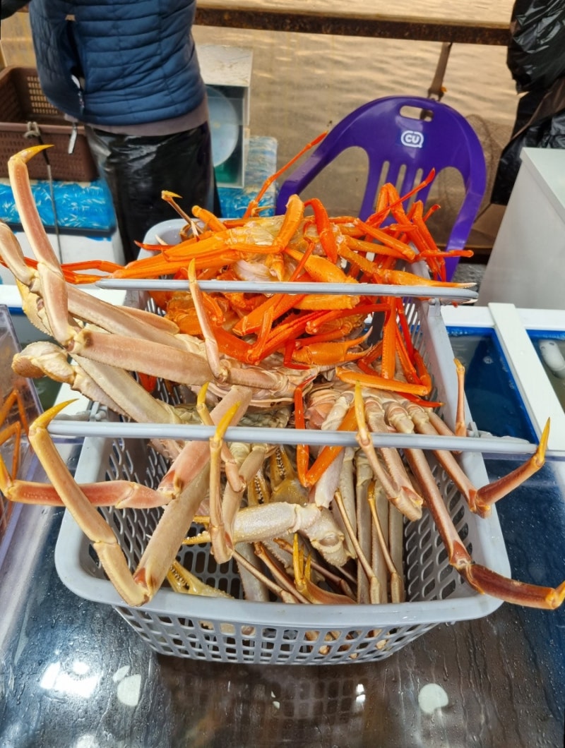 영덕 동광어시장에서 대게 회 포장해서 먹은 내돈내산 후기신광수산 우정수산 포항초장집대게 네이버 블로그