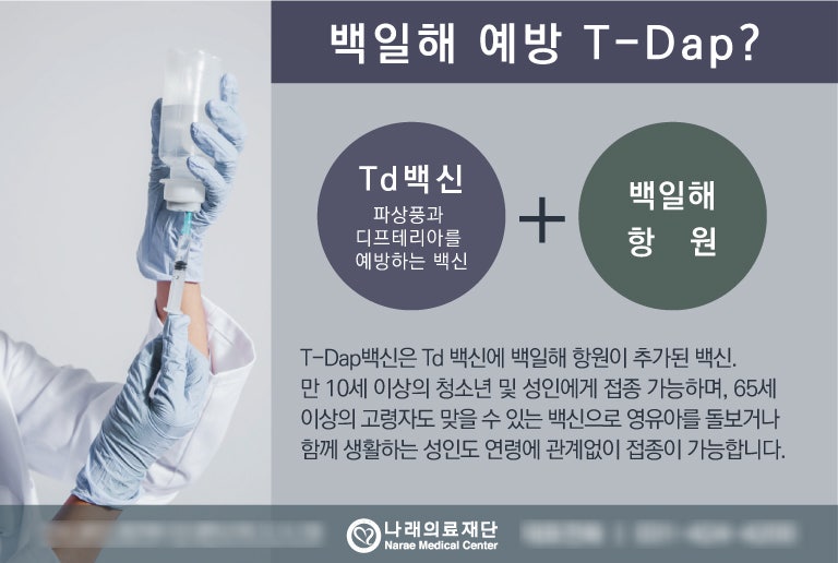 Tdap 부스트릭스 아다셀 백일해 예방접종 병원 임산부 성인 접종 시기 가격 네이버 블로그