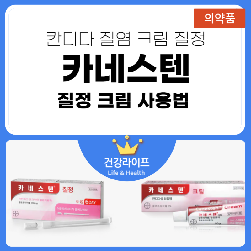 칸디다 질염 크림 연고 질정 증상 치료 카네스텐 가격 사용법 후기 네이버 블로그