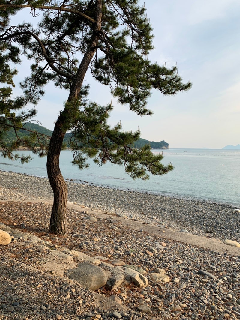 고흥 나로힐링캠핑장 29쇄석 네이버 블로그