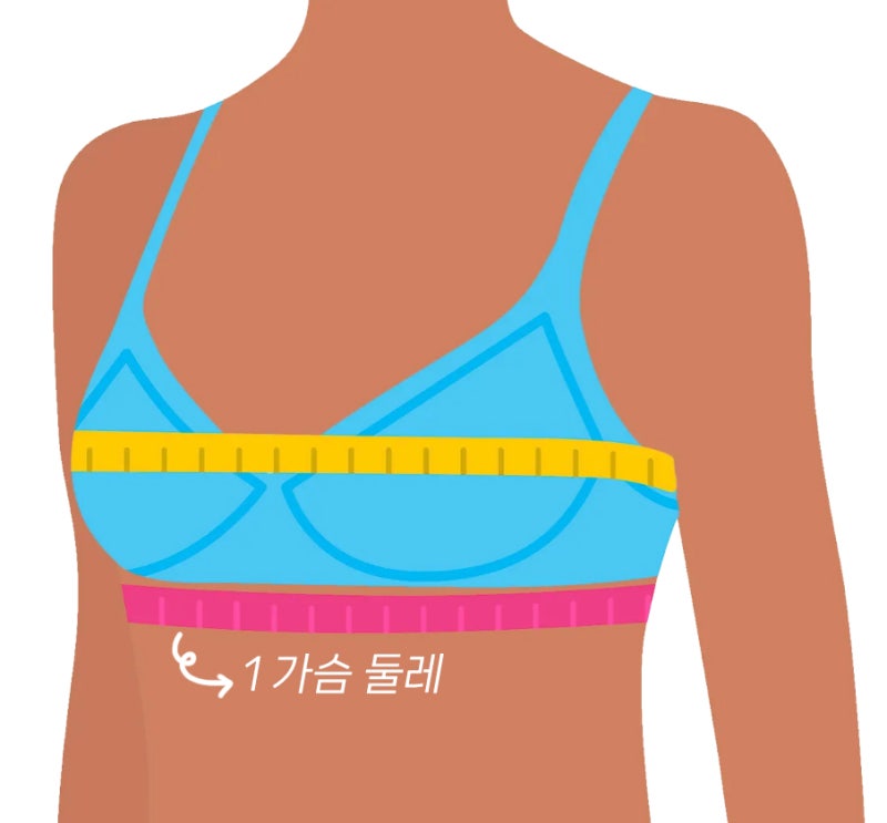 집에서 여자 가슴둘레 재는법 브라 And 컵 사이즈 사이즈표 네이버 블로그