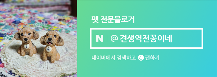 말스키,말티즈 허스키 믹스견 종류 정보 총정리 : 네이버 블로그