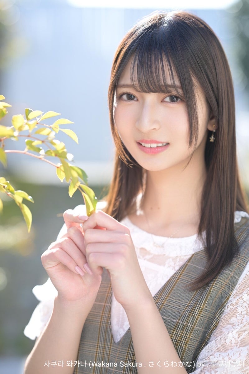 Wakana Sakura / さくらわかな / 사쿠라 와카나 / AV / Japanese Porn