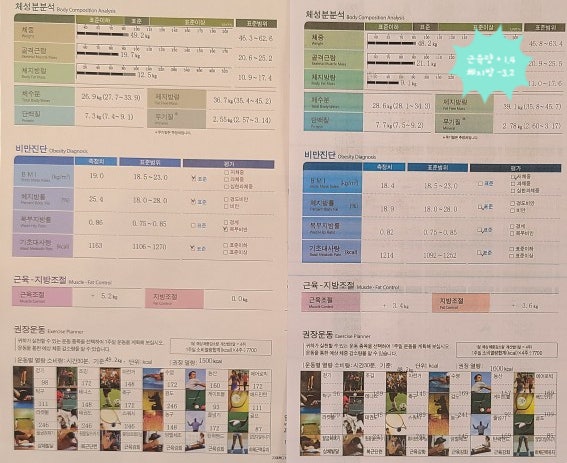 홍제동피티 마카롱피티에서 바디프로필을 준비중인 회원님 입니다 무악재피티 홍은동피티 홍제역피티 홍제동헬스 네이버 블로그