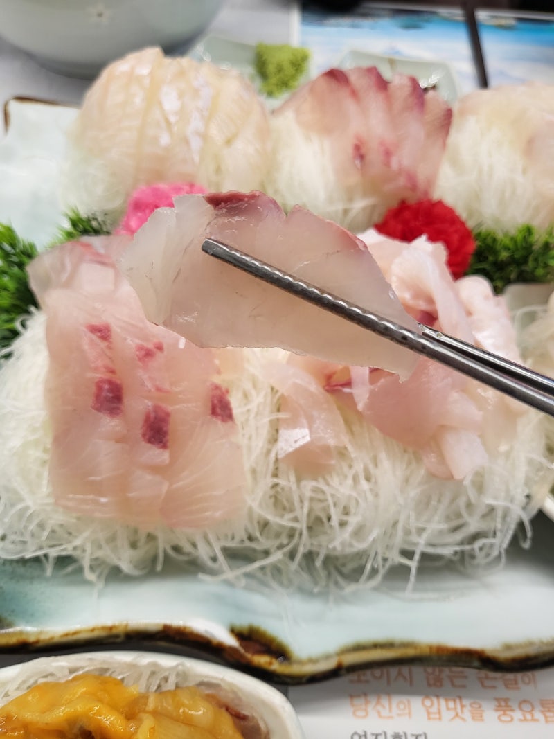 영진 횟집강릉 주문진 영진해변 오션뷰 맛집 50년 전통 물회 추천 아침식사 가능 네이버 블로그